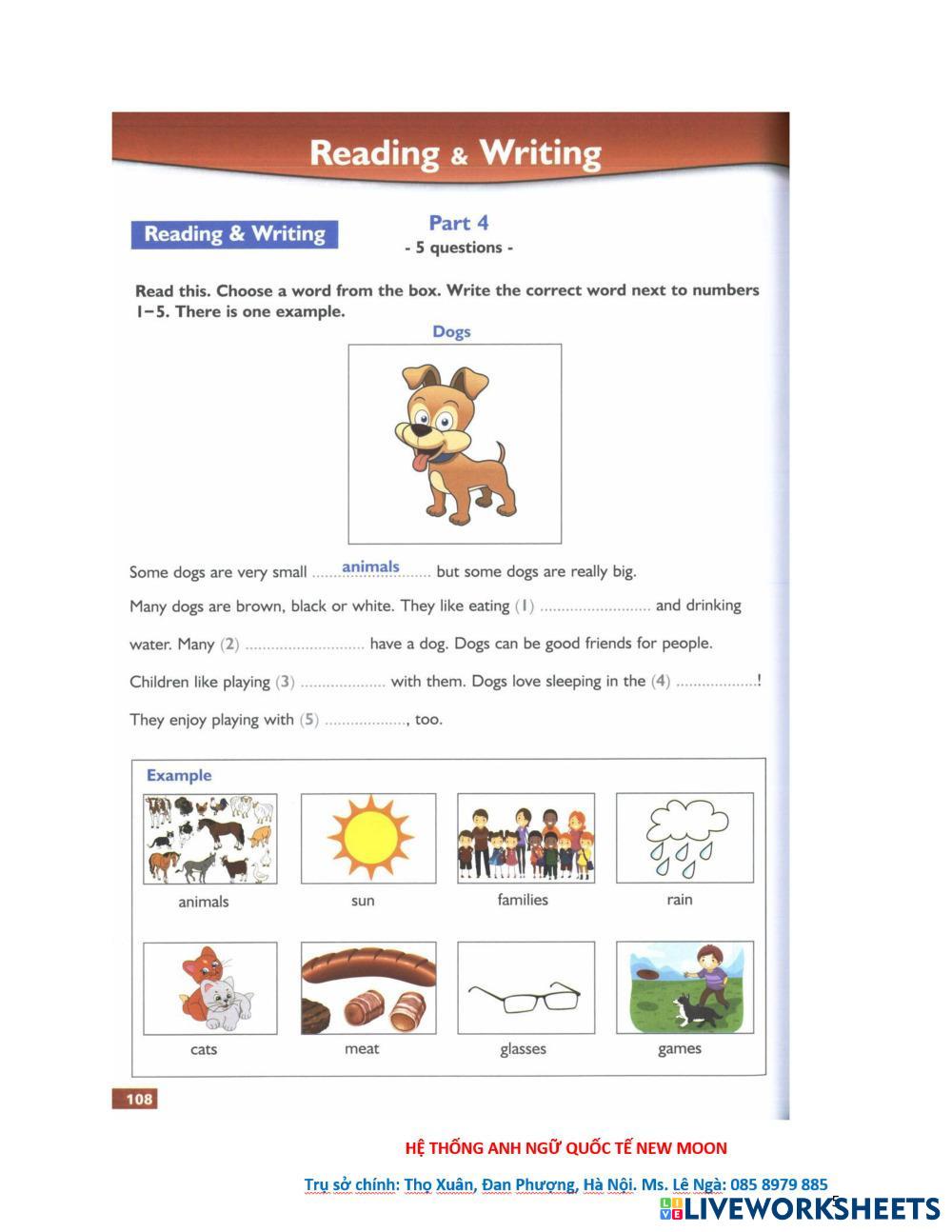 Succeed in star… | Free Interactive Worksheets | 7272227