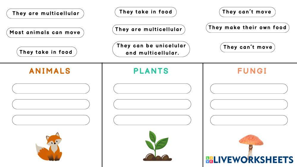 sc-year 5-unit … | Free Interactive Worksheets | 7273416