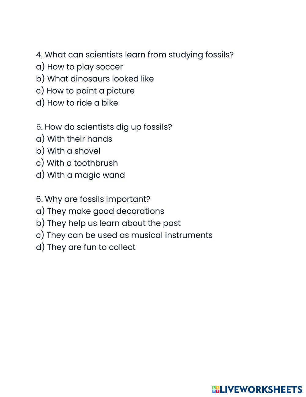 7273795 | Grade 2 Fossils Passage and Questions | Chantel