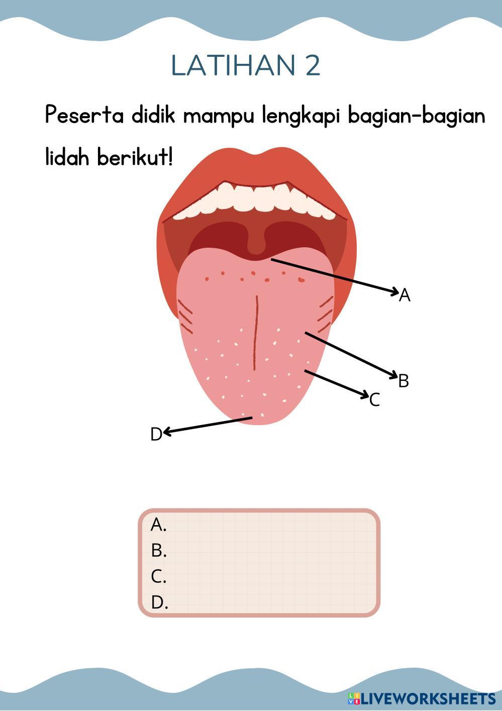 7279318 | Alat Indera Manusia & Fungsinya | Gede Edi