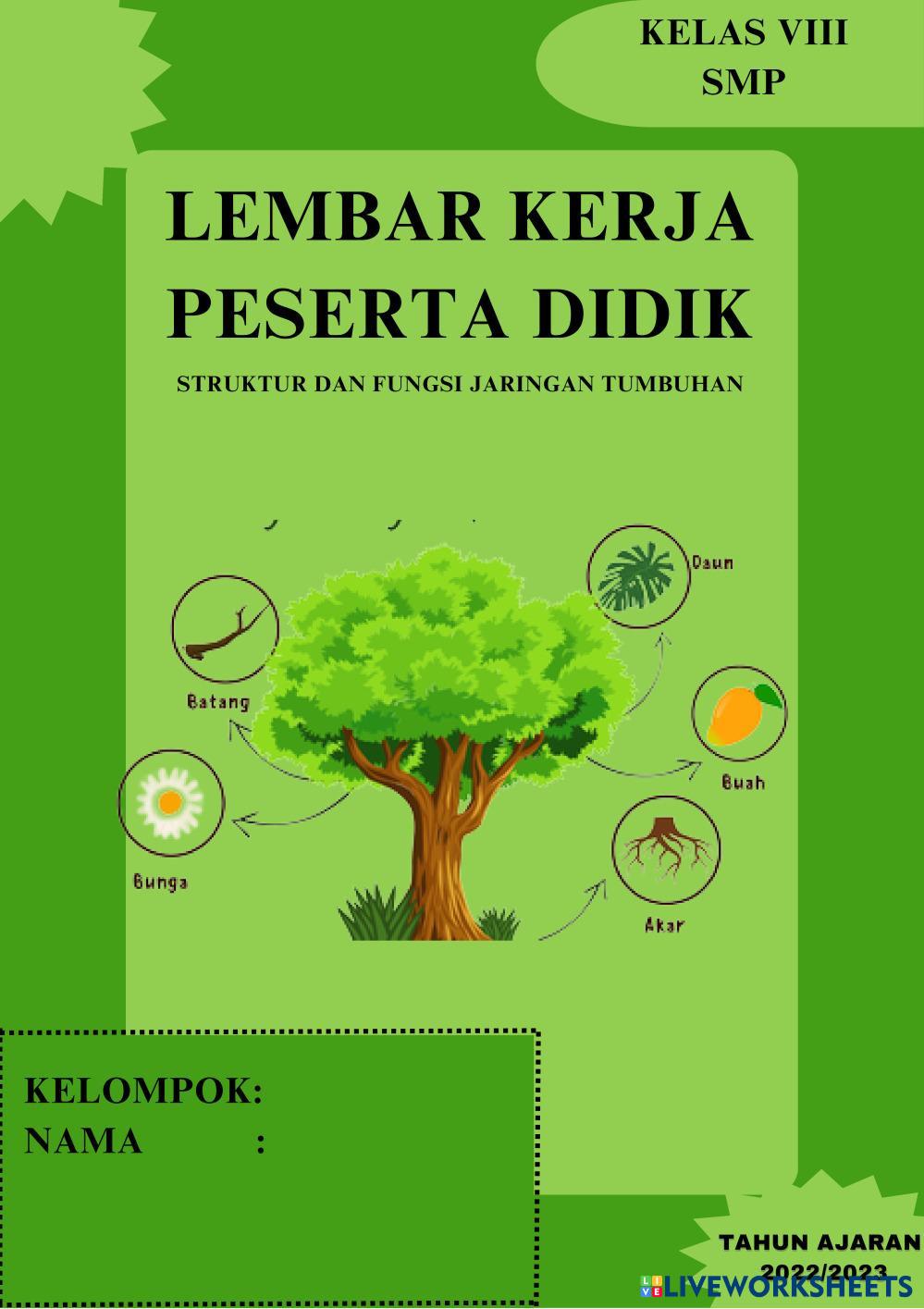 Struktur dan Fungsi Jaringan Tumbuhan 7289809 | Ria Zulfa