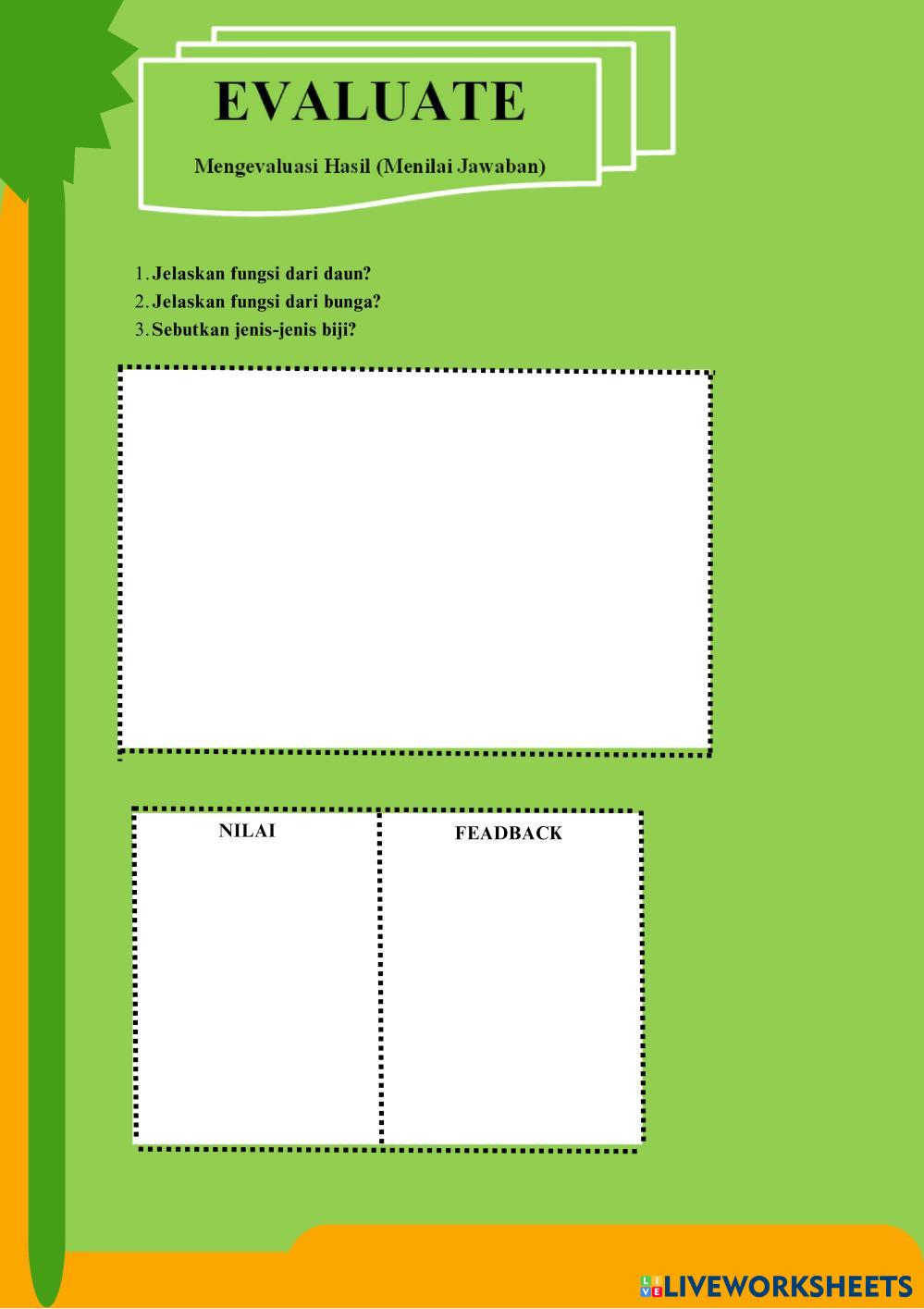 Struktur dan Fungsi Jaringan Tumbuhan 7289809 | Ria Zulfa