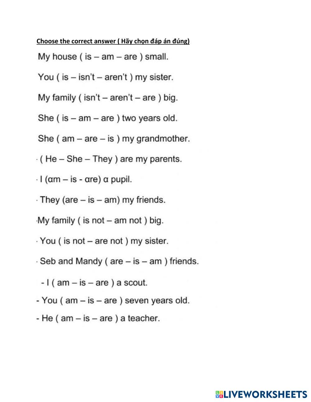 7290538 | Unit 1 Verb "Tobe" | Vu Dam Van Anh