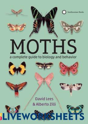 [PDF] Moths: A Complete Guide to Biology and Behavior by David Lees, Alberto Zilli | Live Worksheets