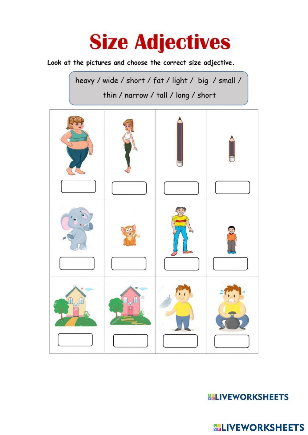 Size | Free Interactive Worksheets | 7294261