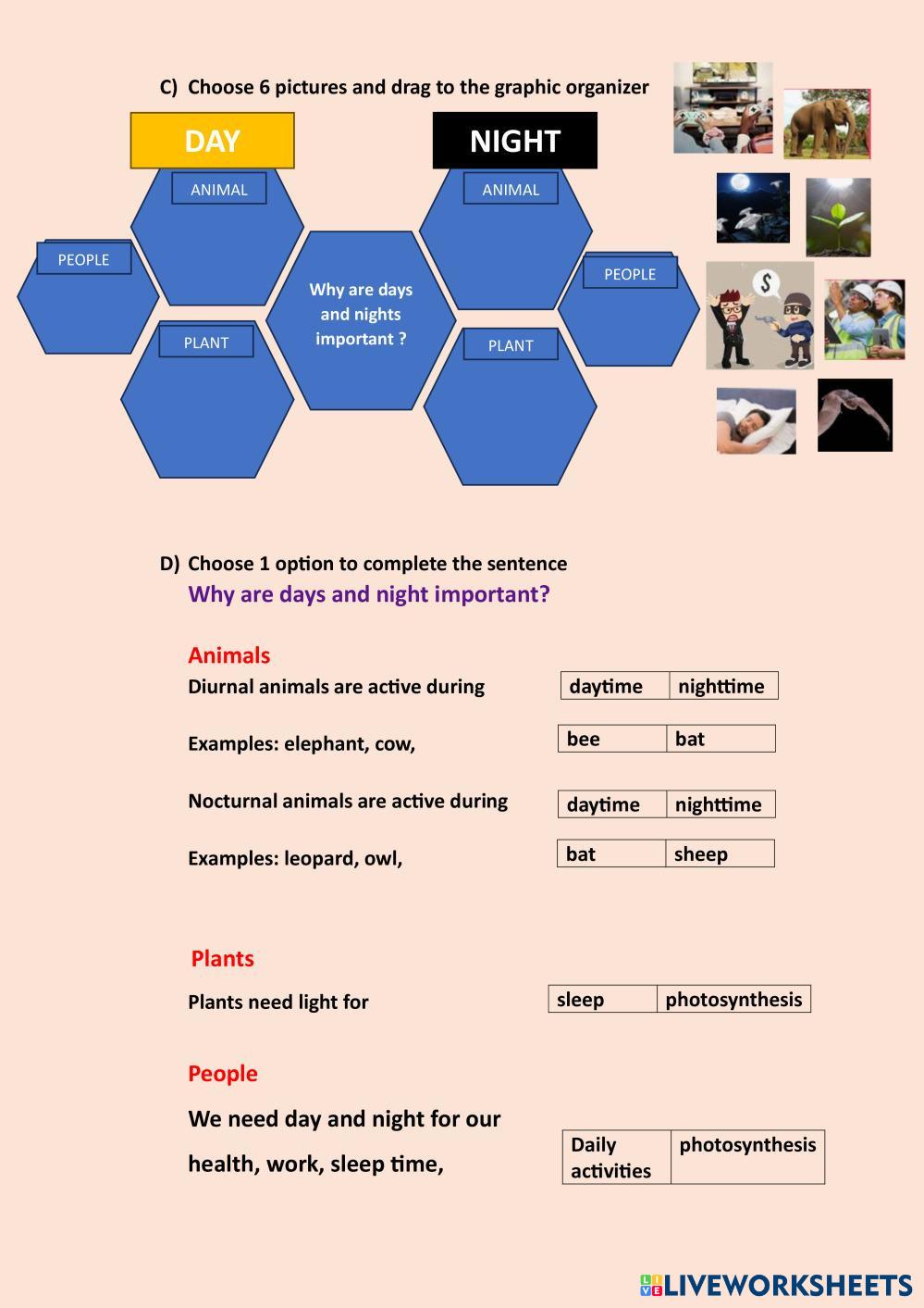 7300495 | DAY&NIGHT | MELIZA YUNGA | LiveWorksheets