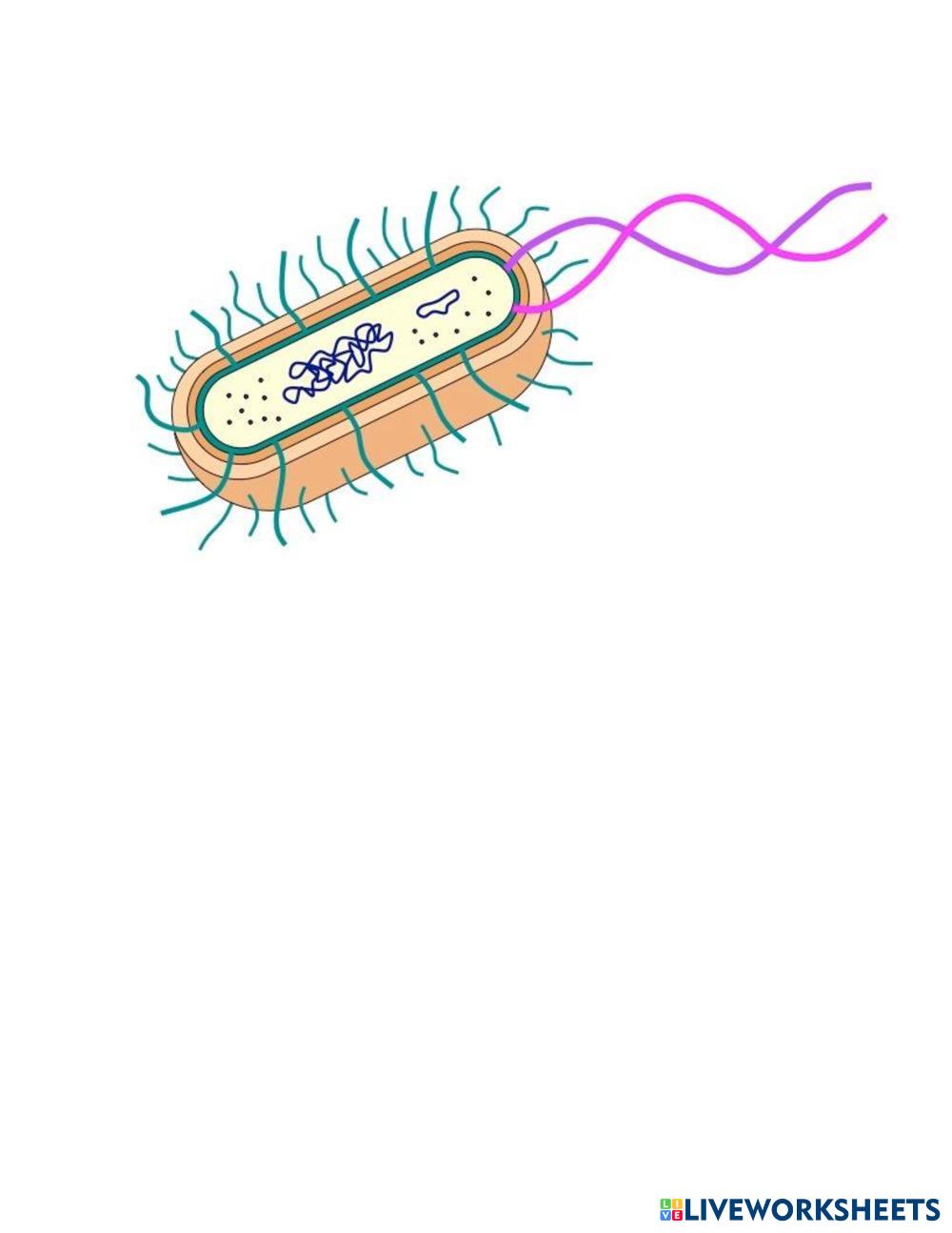 solve test 2 | Live Worksheets