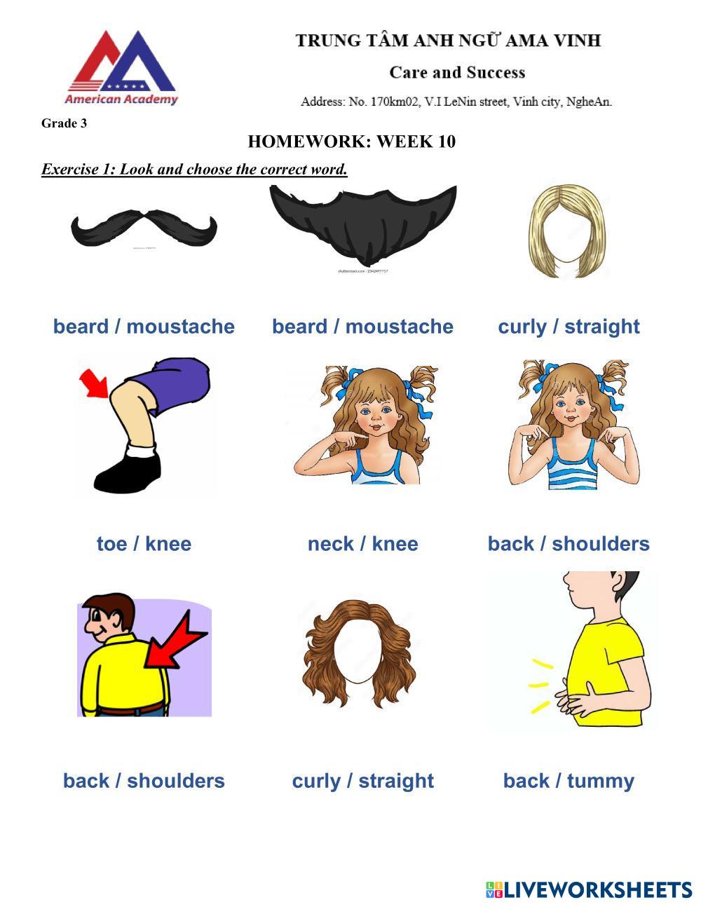 Grade 3 - Homew… | Free Interactive Worksheets | 7310318