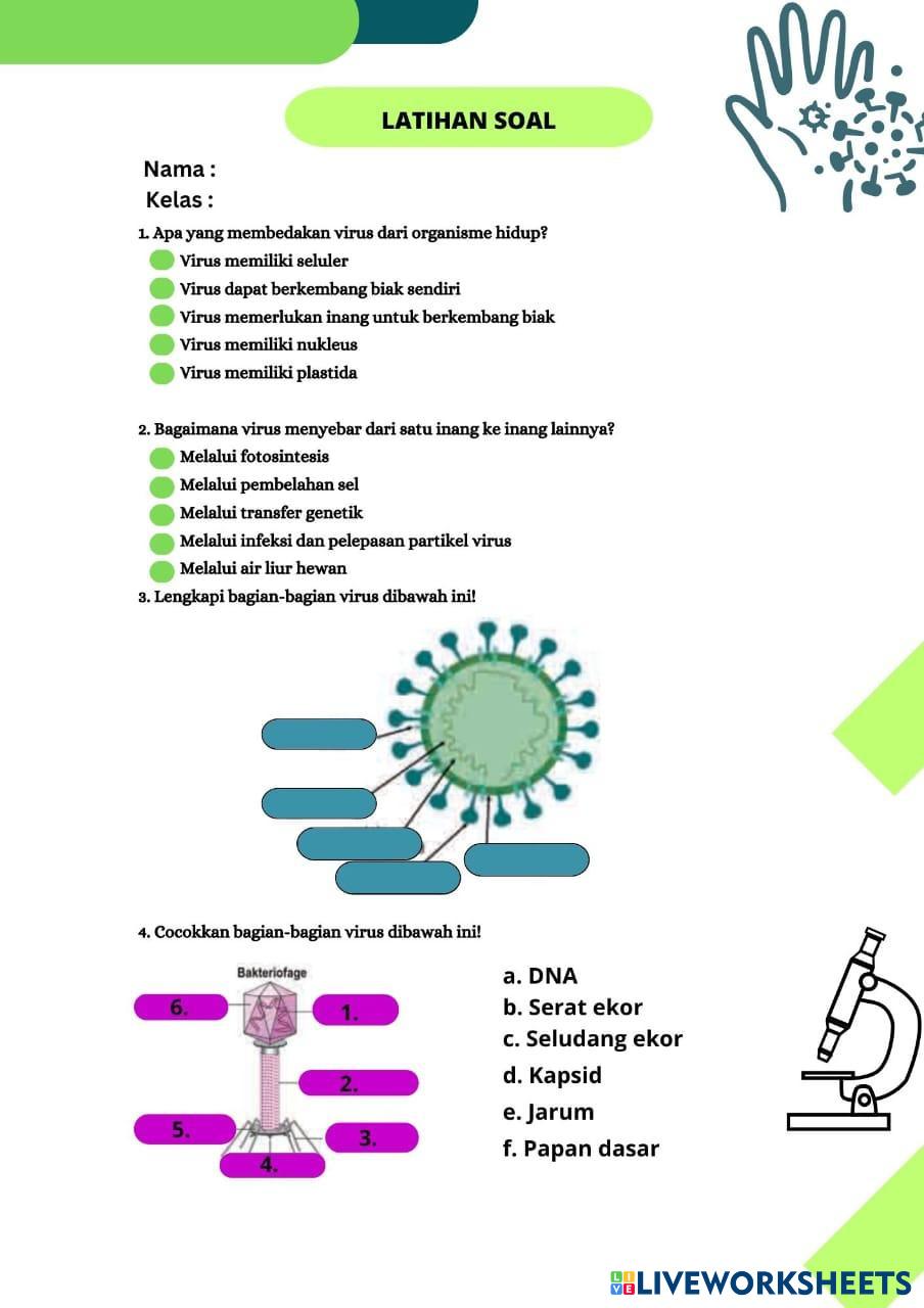 latihan soal | Live Worksheets