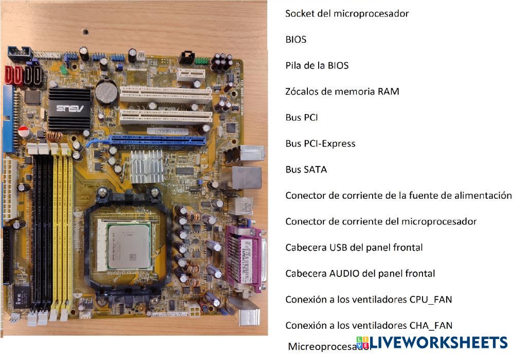 Ficha placa base | Live Worksheets