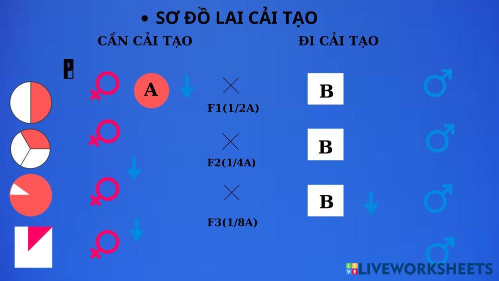 drap and drop | Live Worksheets