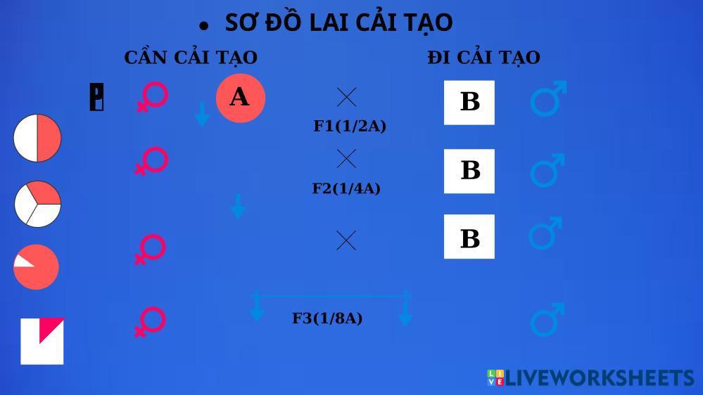 drap and drop | Live Worksheets