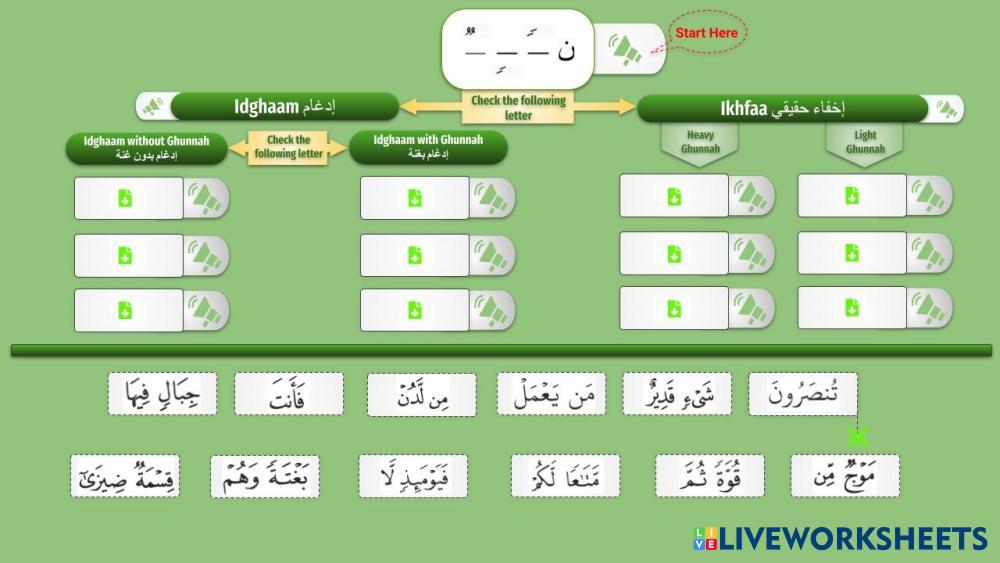 7315341 | Idghaam and Ikhfaa | Alyaa Sameh