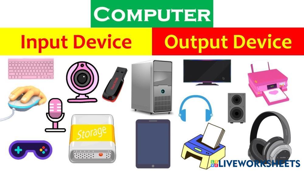 Input and output units | Live Worksheets