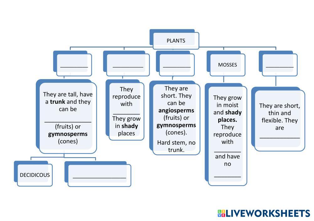 UNIT 2 PLANTS YEAR 3 | Live Worksheets