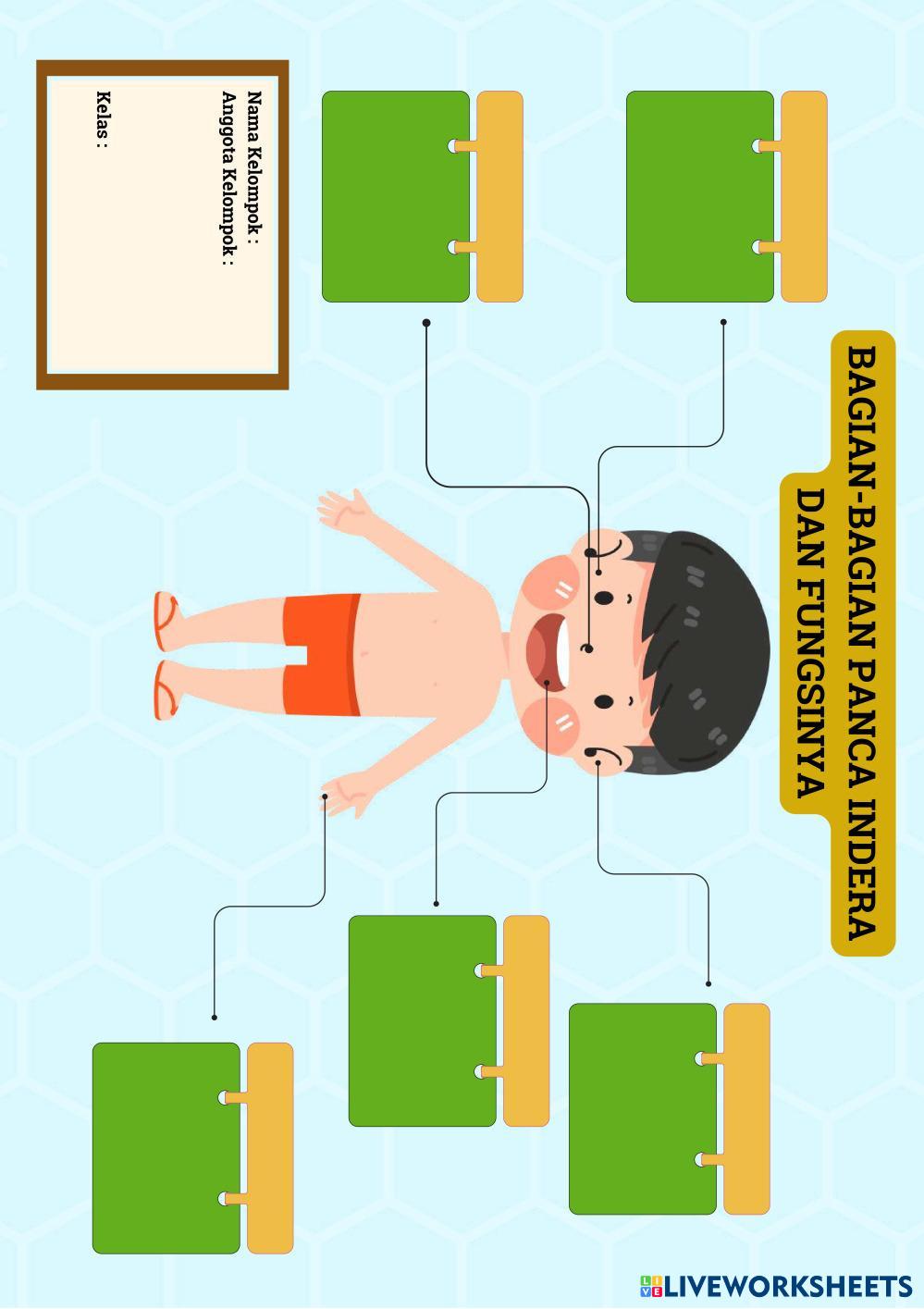 LKPD PANCA INDERA | Live Worksheets