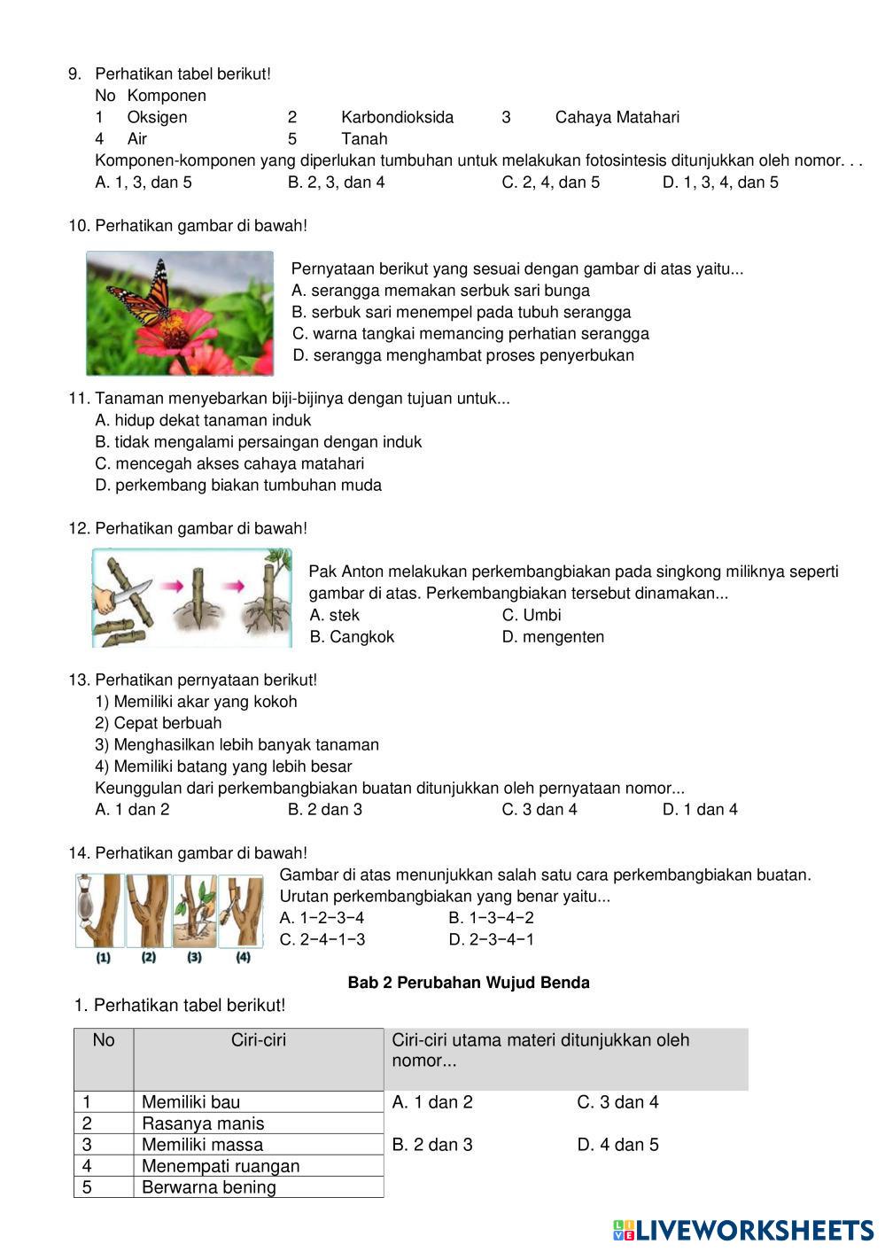 IPAS | Live Worksheets