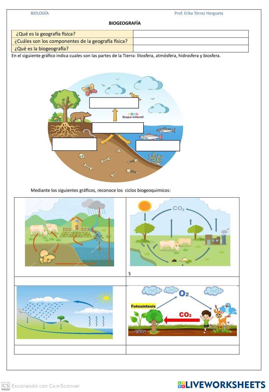 BIOLOGIA | Live Worksheets
