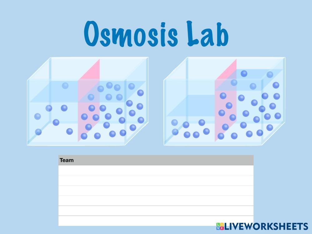 Osmosis Lab 7355863 | mcvilobos3105 | LiveWorksheets