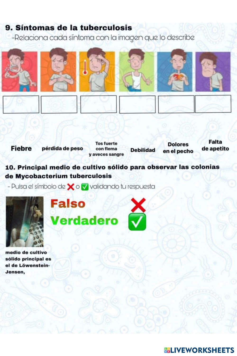 Mycobacterium y micobacterium tuberculosis | Live Worksheets