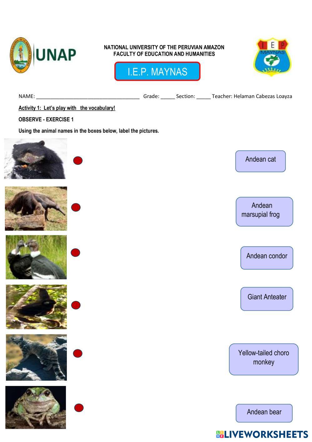 SESSION 15 - Animals in extinction of peru | Live Worksheets