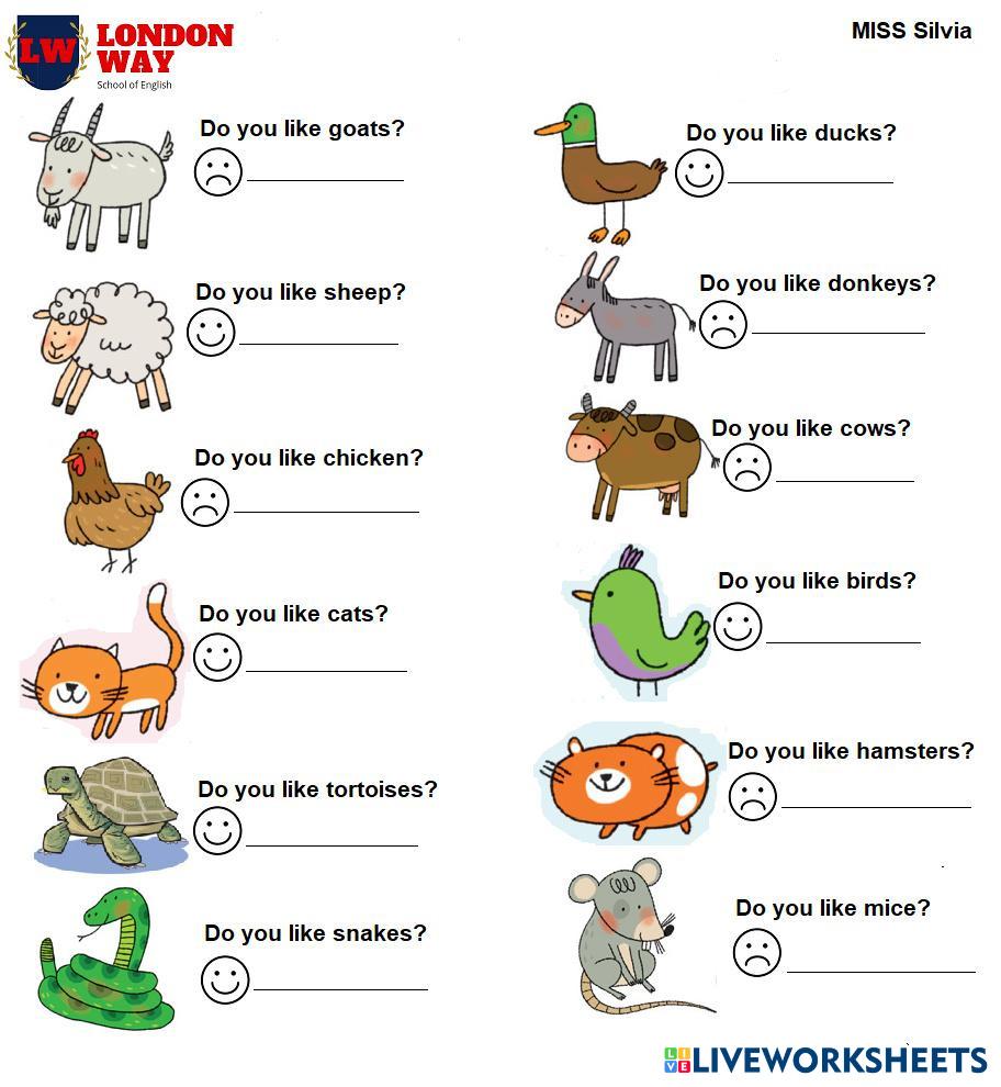 BI1 Unit 4 Animals | Live Worksheets