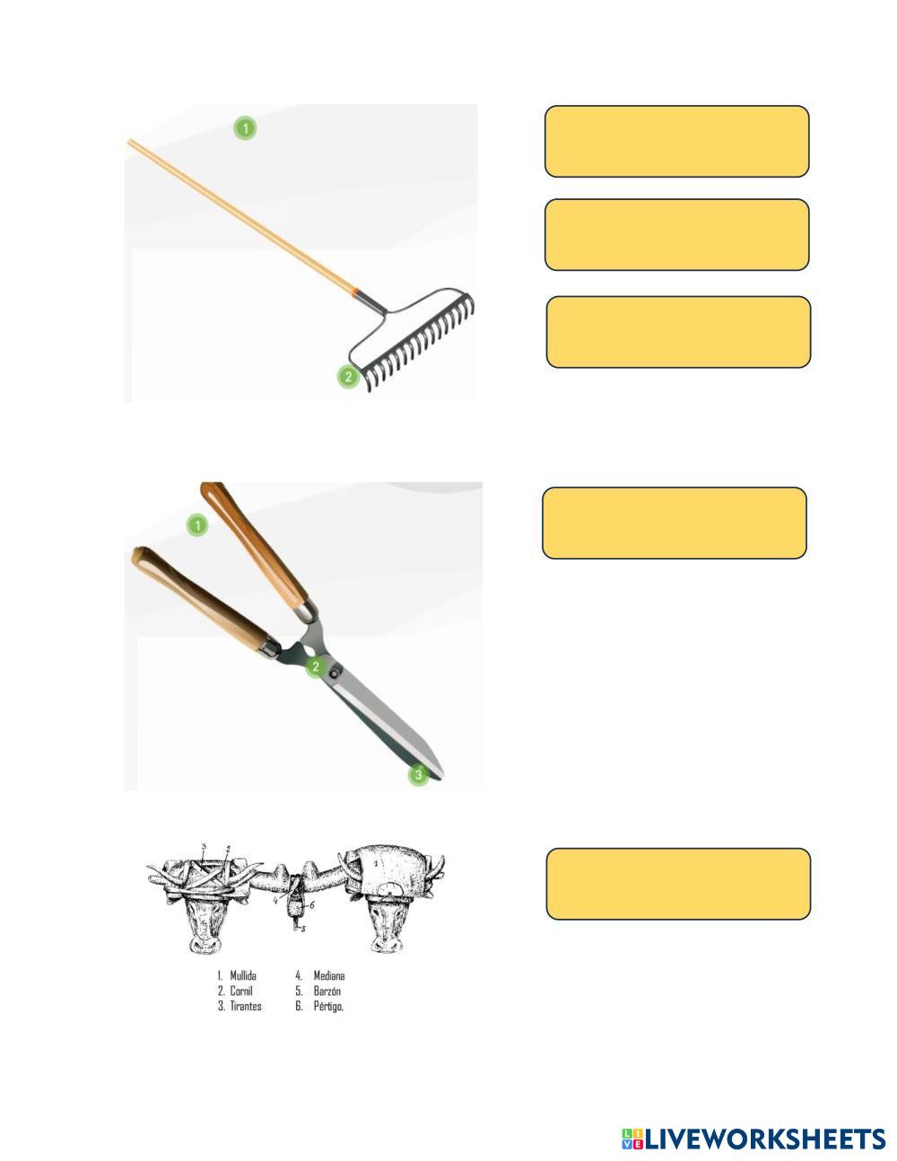 HERRAMIENTAS 2 | Free Interactive Worksheets | 7388488
