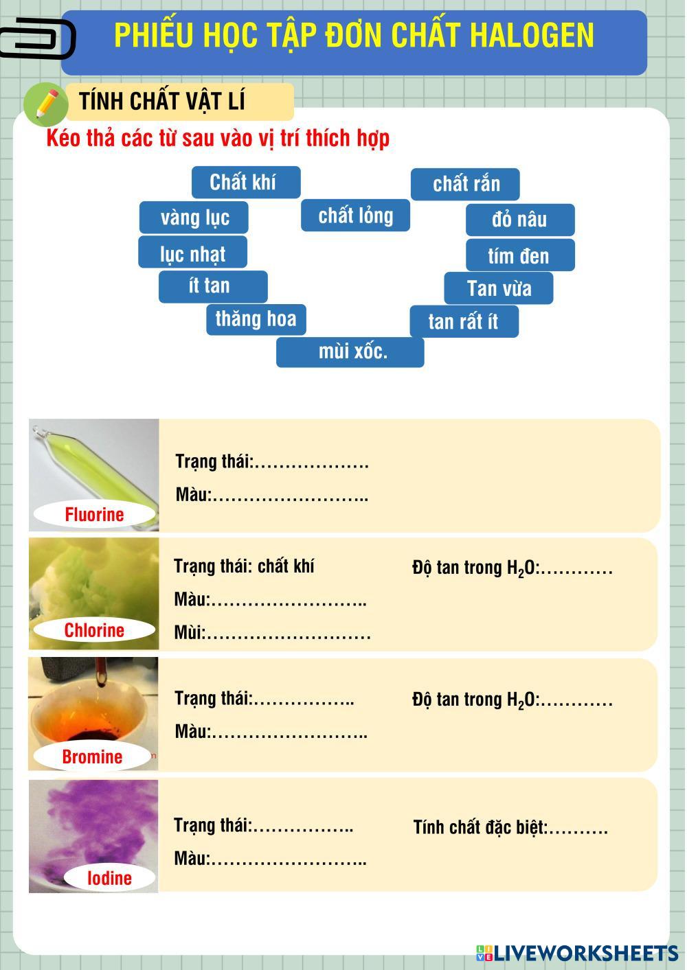 Đơn chất halogen | Live Worksheets