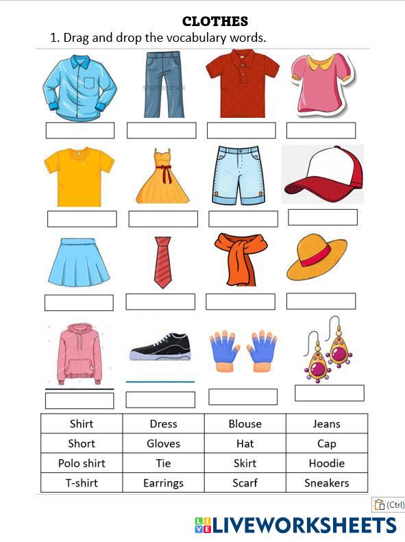Clothes | Live Worksheets