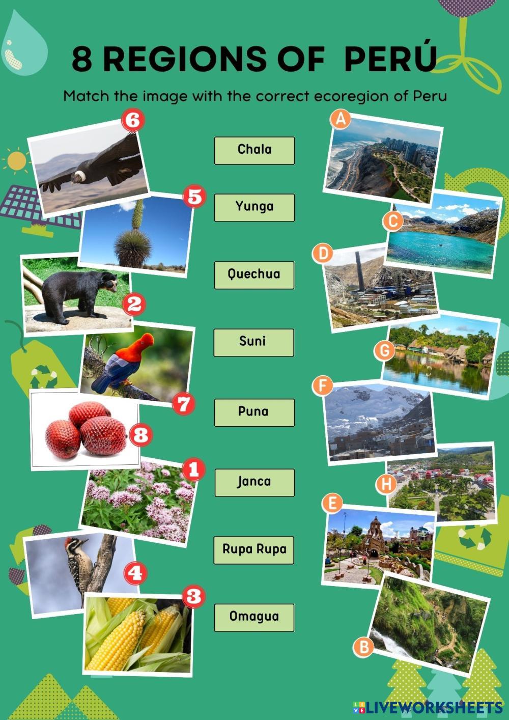 8 regions of PERÚ | Live Worksheets
