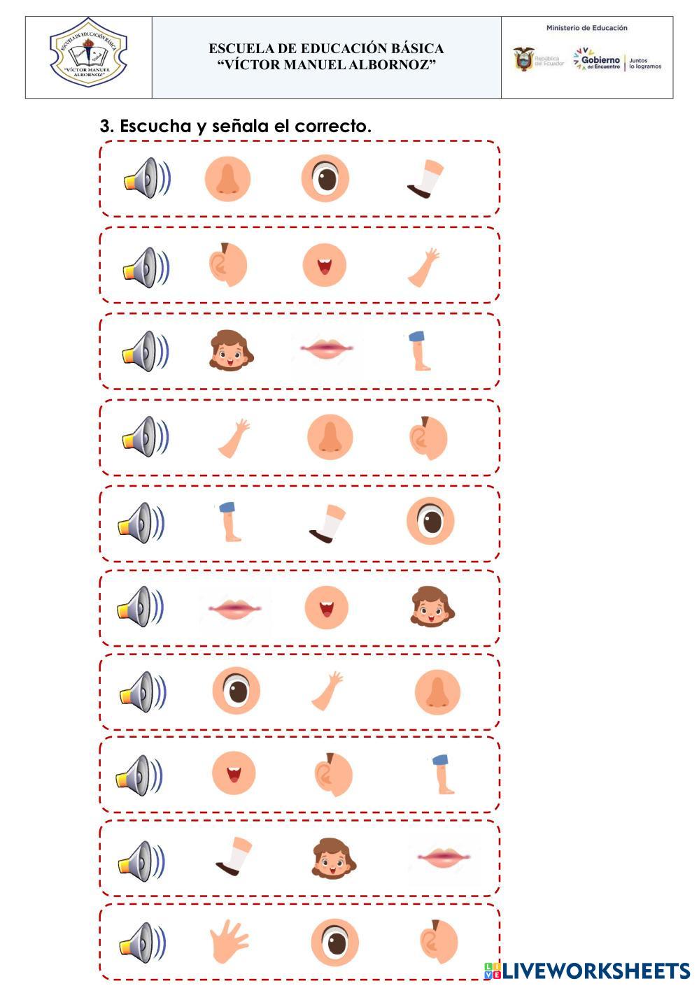 BODY PARTS | Live Worksheets