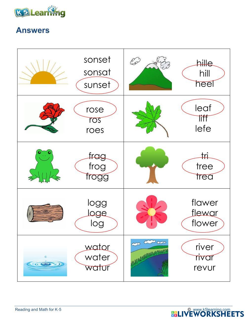 7453891 | Circle Correct Spelling | Veronica Lebedev