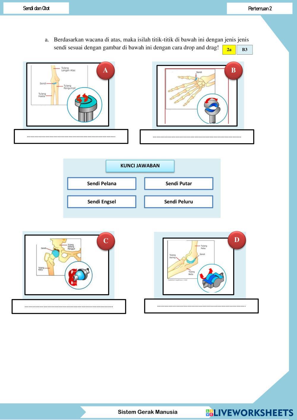 Sendi dan Otot | Siti Rohani | Live Worksheets