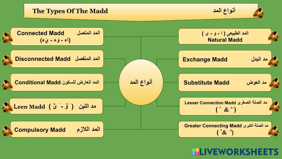 أنواع المد Doaa Mohmmed Ashry Live Worksheets