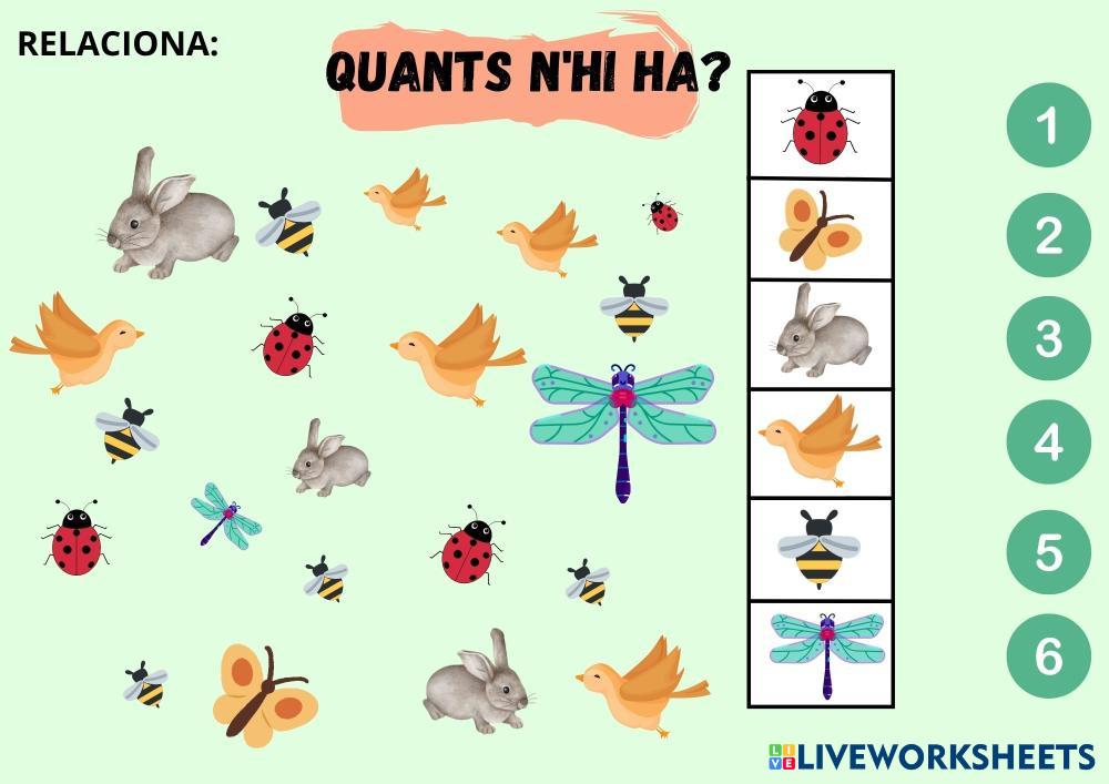 QUANTS N'HI HA? | Live Worksheets