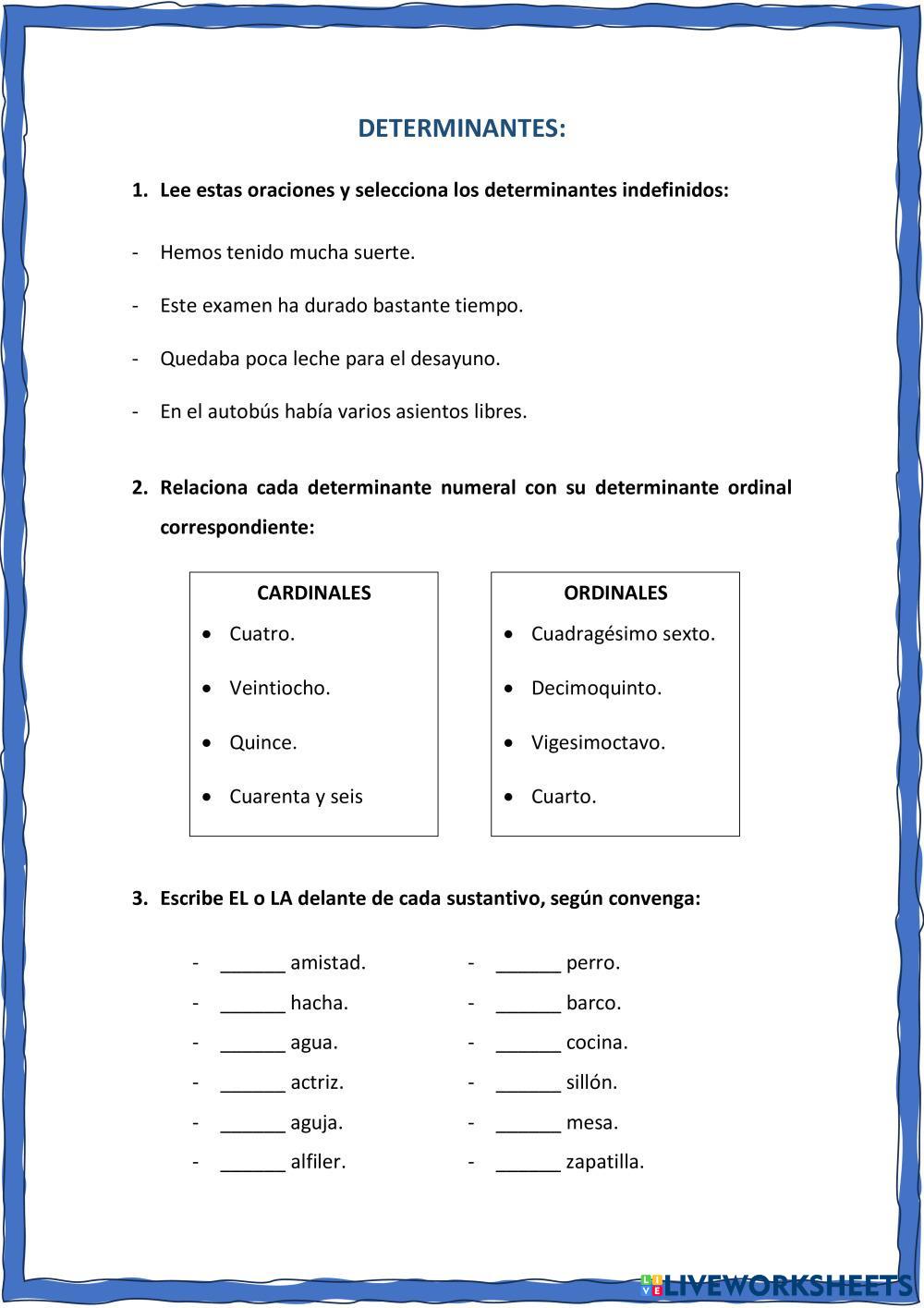 DETERMINANTES | Farahhlz | Live Worksheets