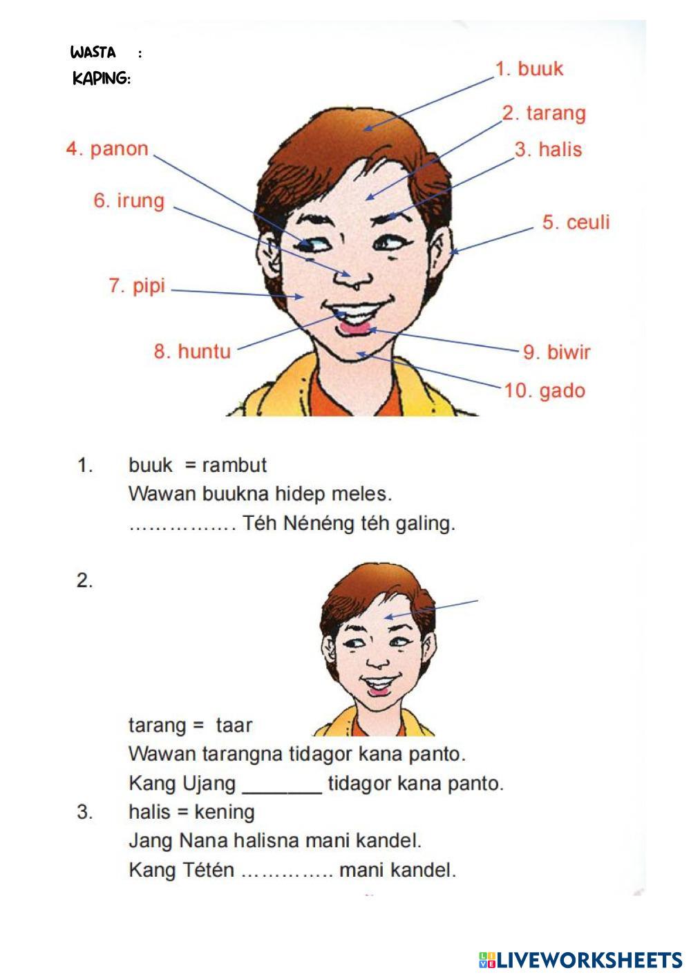 7111596 | WS Basa Sunda grade 2 | kacamataretak24