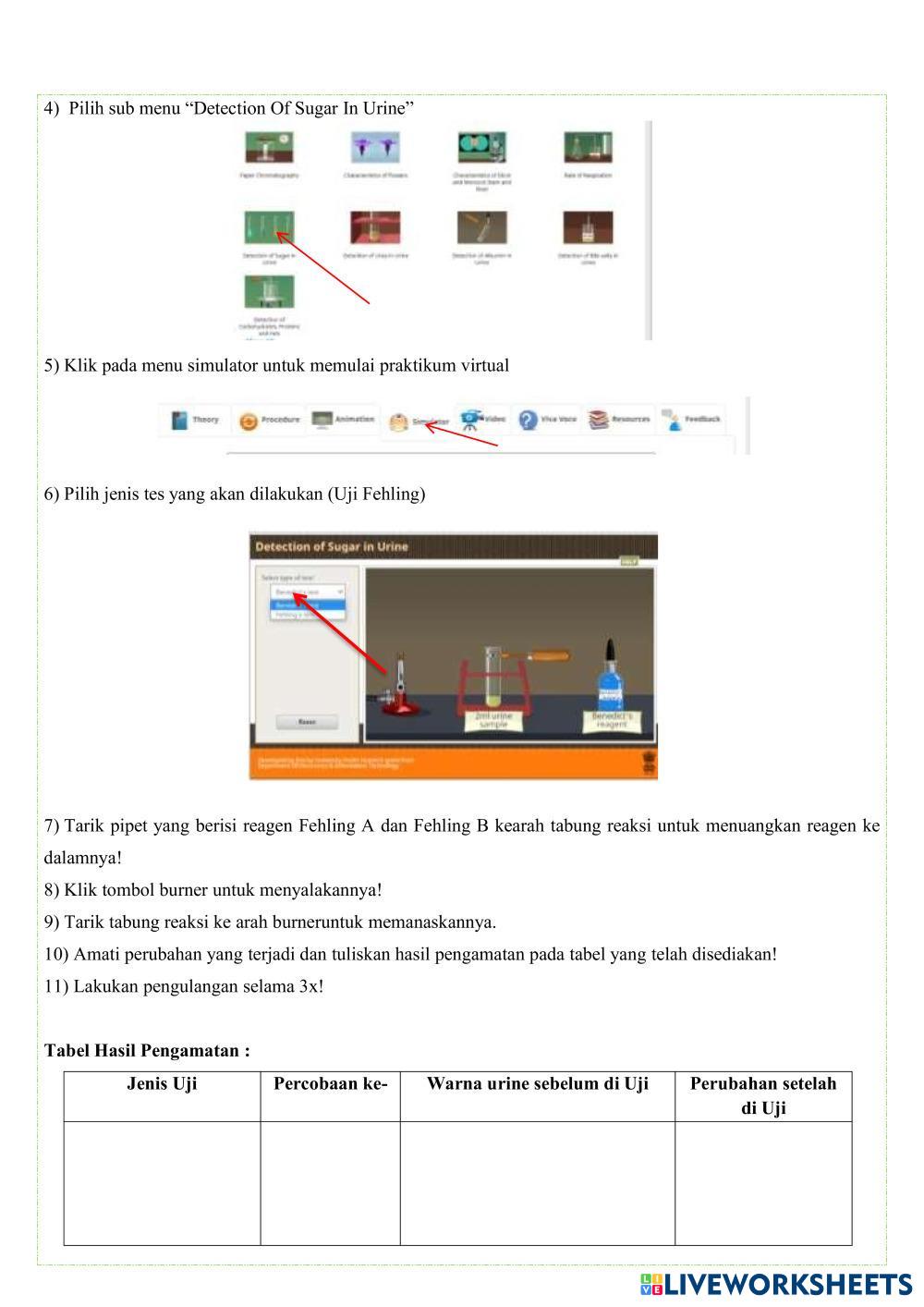 Bio-Eksperimen Uji Urine Fehling | Live Worksheets