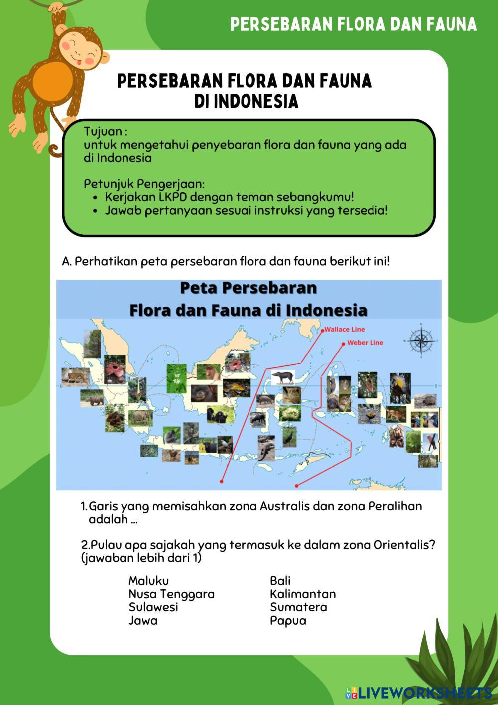 Penyebaran Flora dan Fauna di Indonesia | Live Worksheets