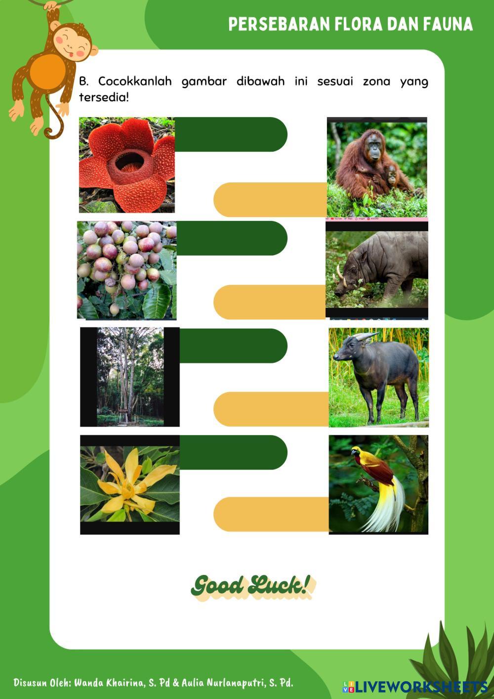 Penyebaran Flora dan Fauna di Indonesia | Live Worksheets