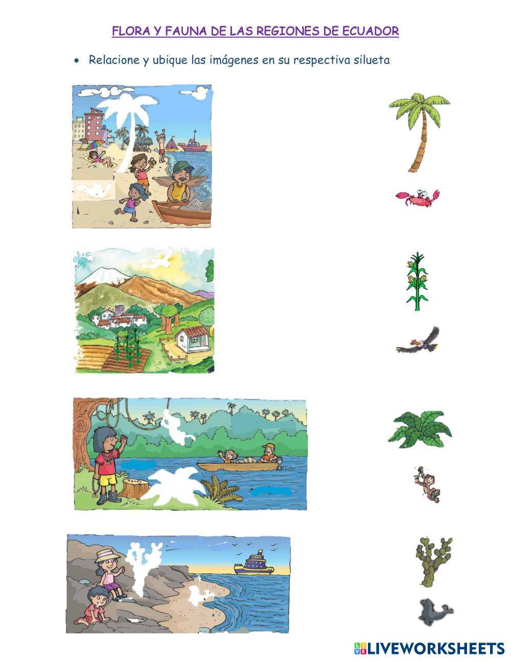 FLORA Y FAUNA DEL ECUADOR | Live Worksheets