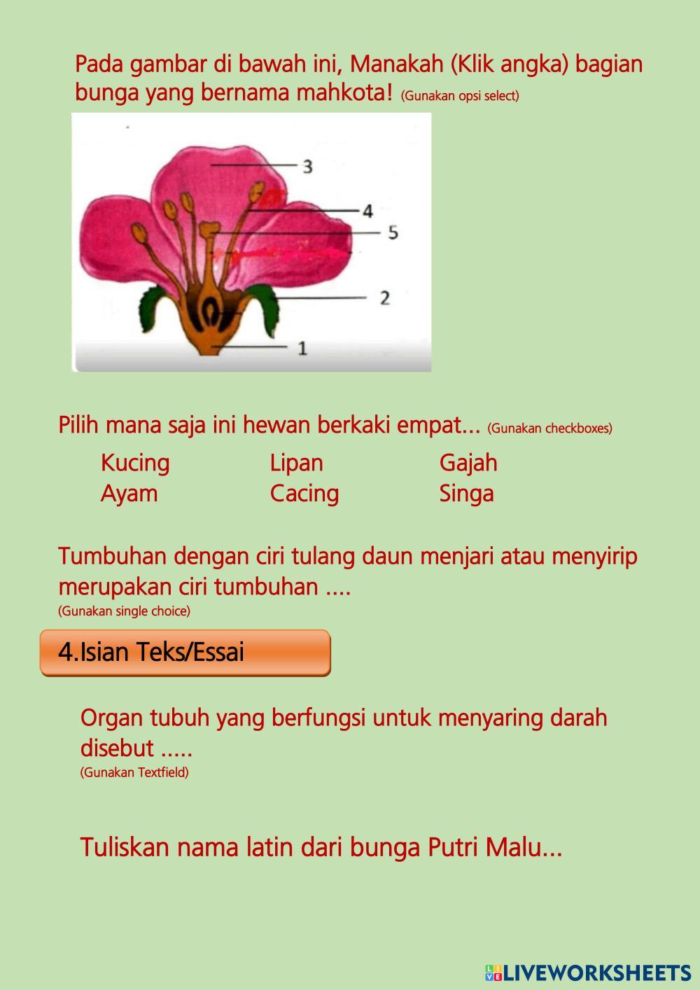 bagian bunga | Live Worksheets