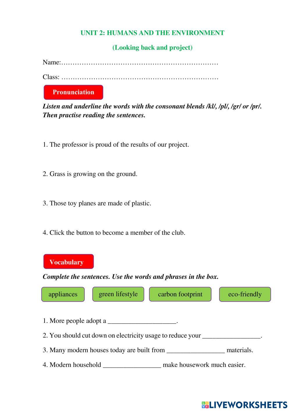 UNIT 2 - LOOKING BACK & PROJECT | Live Worksheets