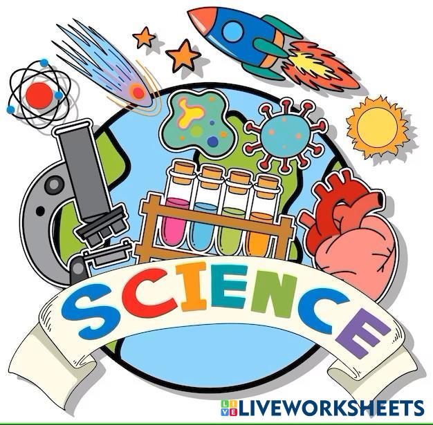 K2 SCI QUIZ 1 | Live Worksheets