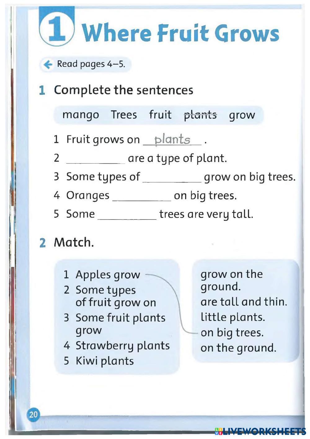 Oxford Read and… | Free Interactive Worksheets | 7137068