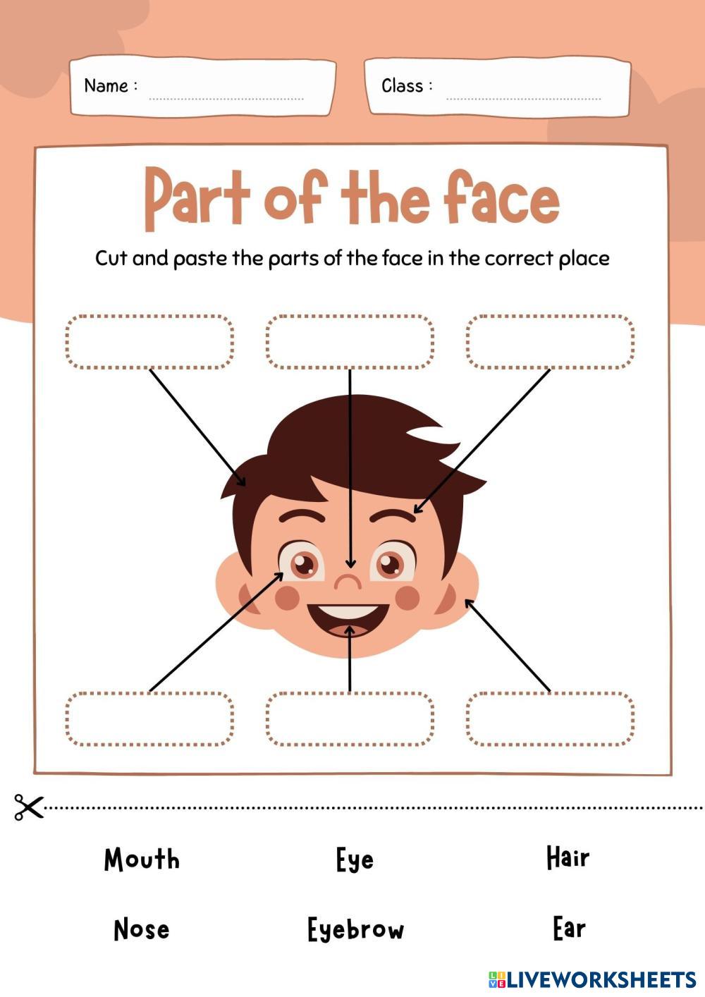 7137236 | drag & drop | dvdbtp | LiveWorksheets