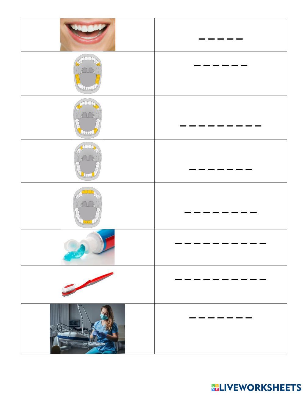 7137824 | Teeth | Val Popova | LiveWorksheets
