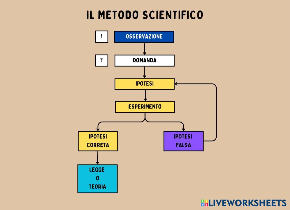 Il metodo scientifico | Live Worksheets