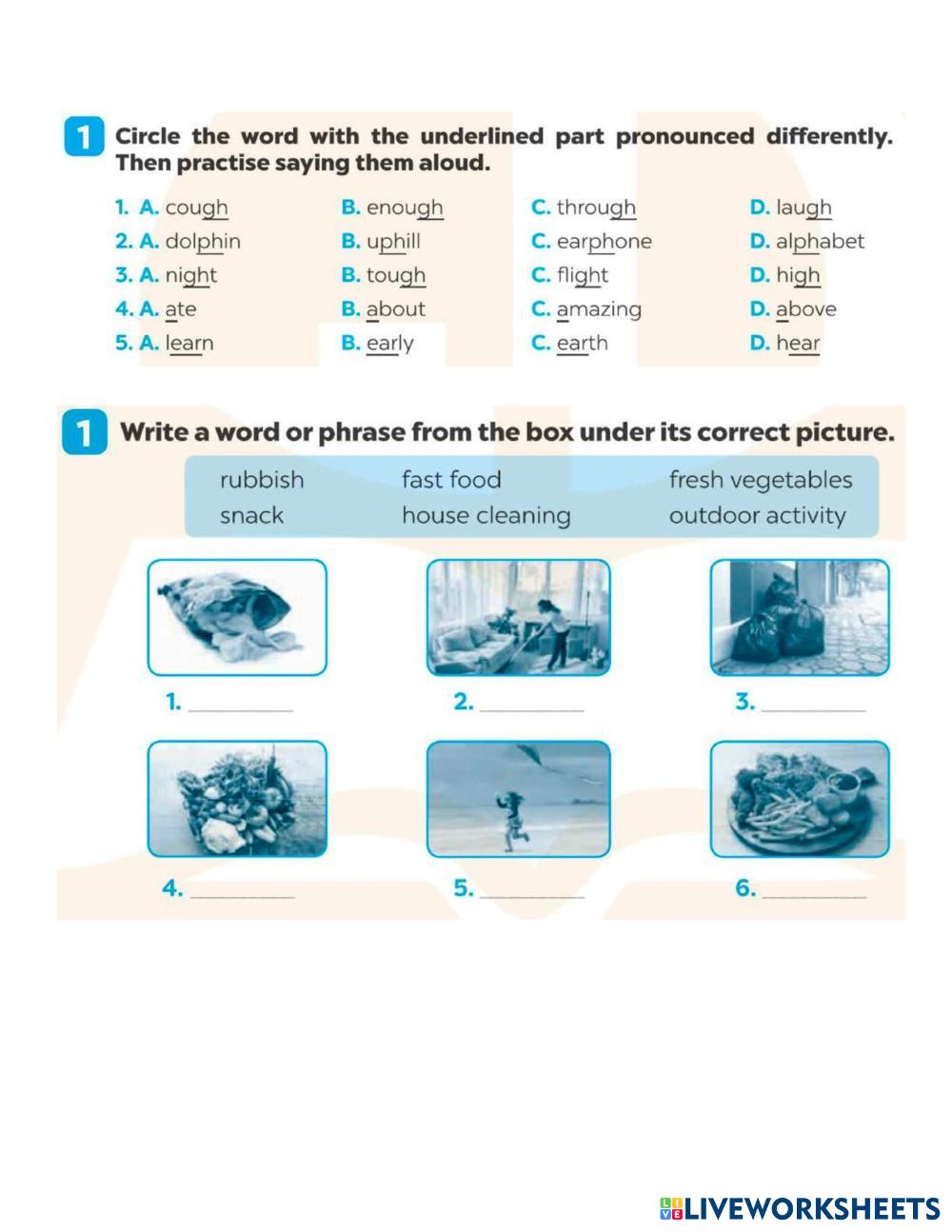 HOMEWORK | Live Worksheets