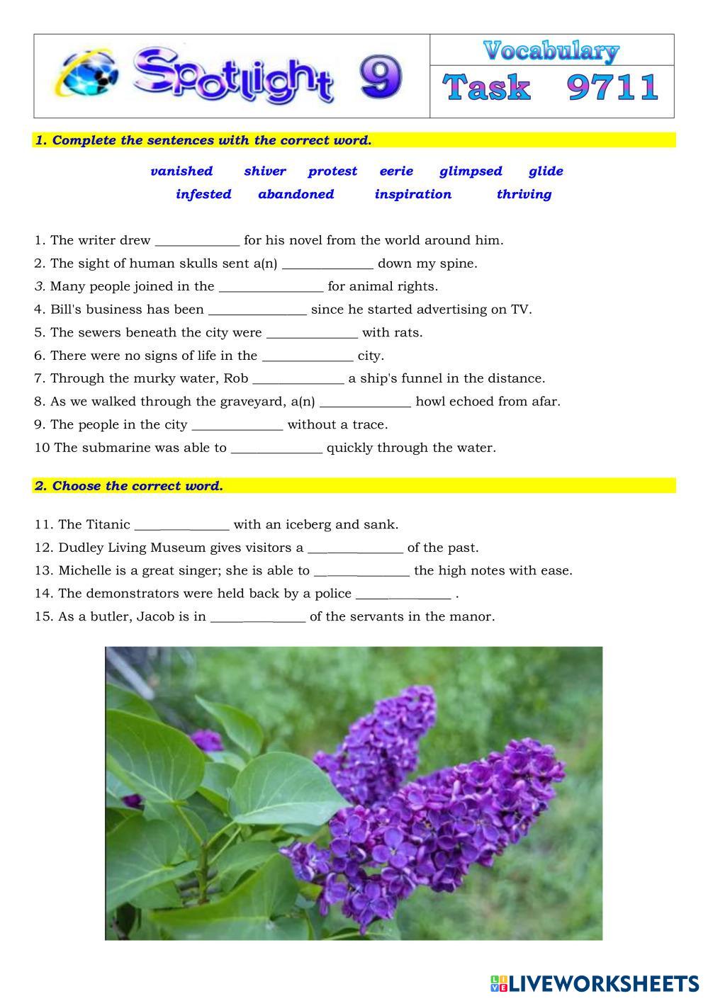 Spotlight 9 Task 9711 worksheet | Live Worksheets